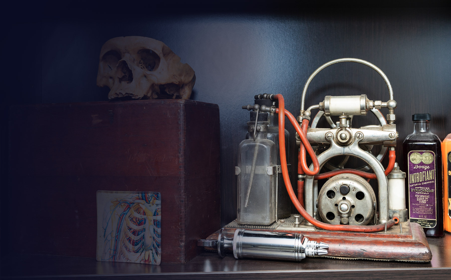 Homepage - Commonwealth Institute of Funeral Service